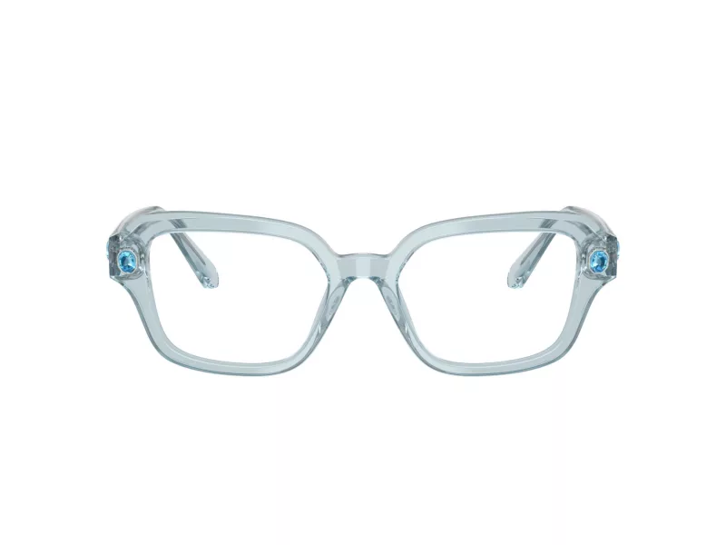 Swarovski Naočare SK 2039 1065