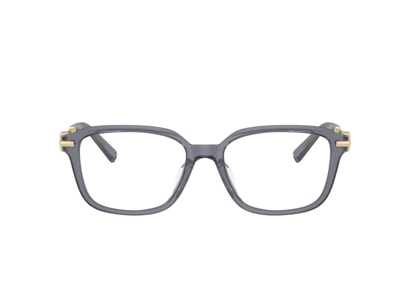 Tiffany Naočare TF 2253D 8405