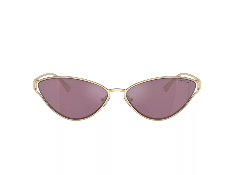 Tiffany Naočare za sunce TF 3095 6194AK