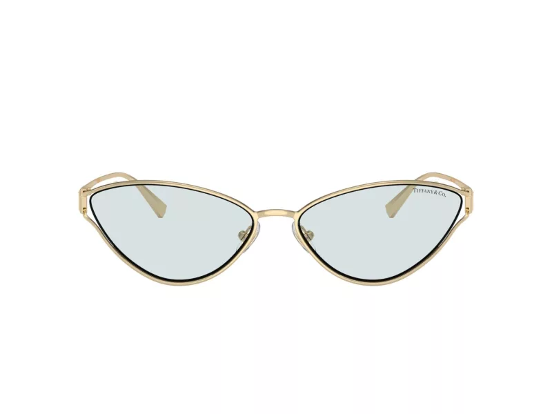 Tiffany Naočare za sunce TF 3095 6196MF