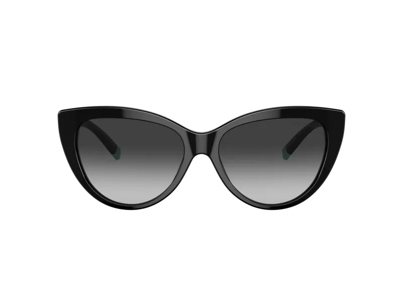 Tiffany Naočare za sunce TF 4196 80013C