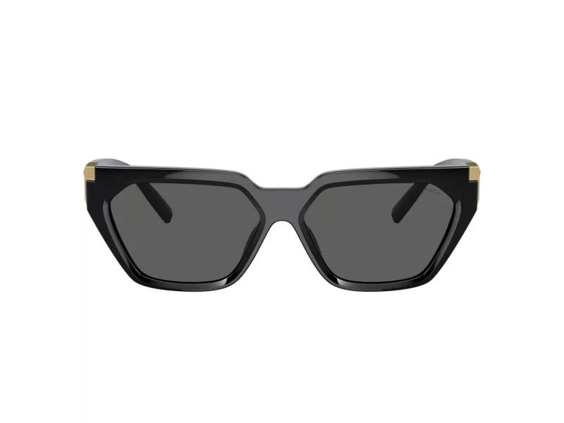 Tiffany Naočare za sunce TF 4205U 8001S4