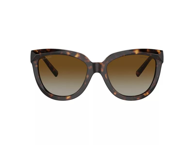 Tiffany Naočare za sunce TF 4215 8015T5