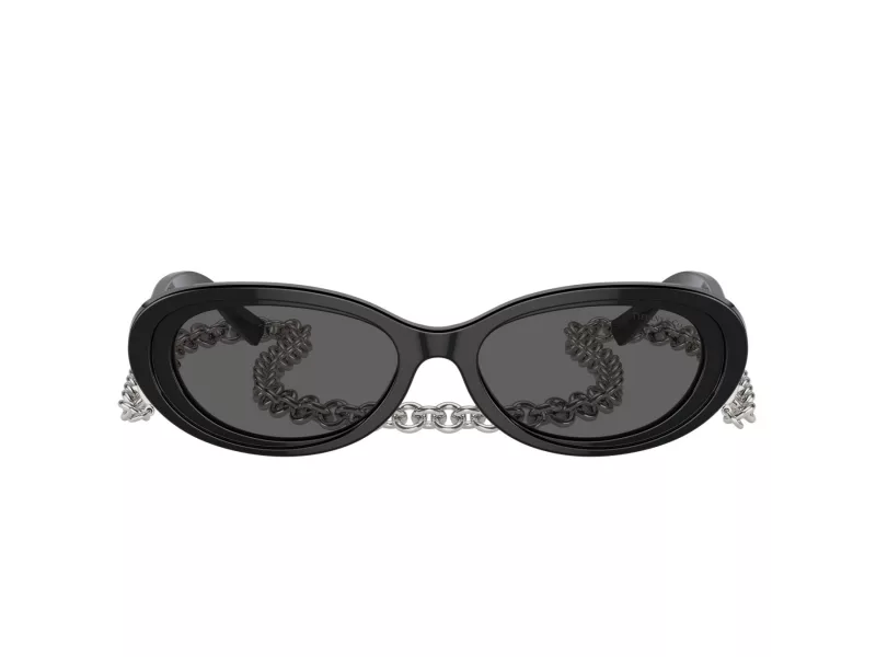 Tiffany Naočare za sunce TF 4221 8001S4