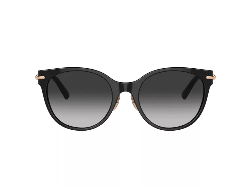 Tiffany Naočare za sunce TF 4223D 80013C