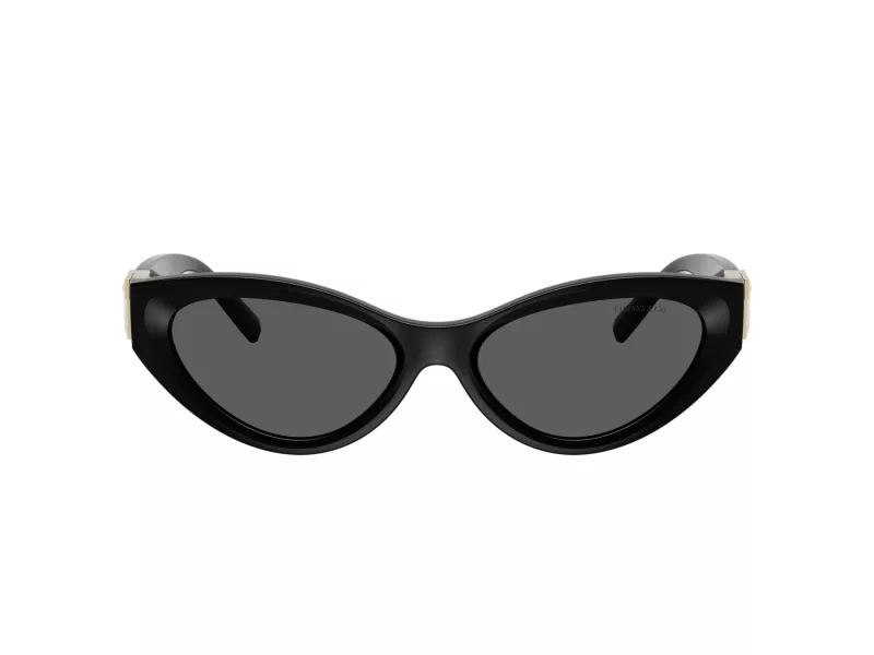 Tiffany Naočare za sunce TF 4225U 8001S4