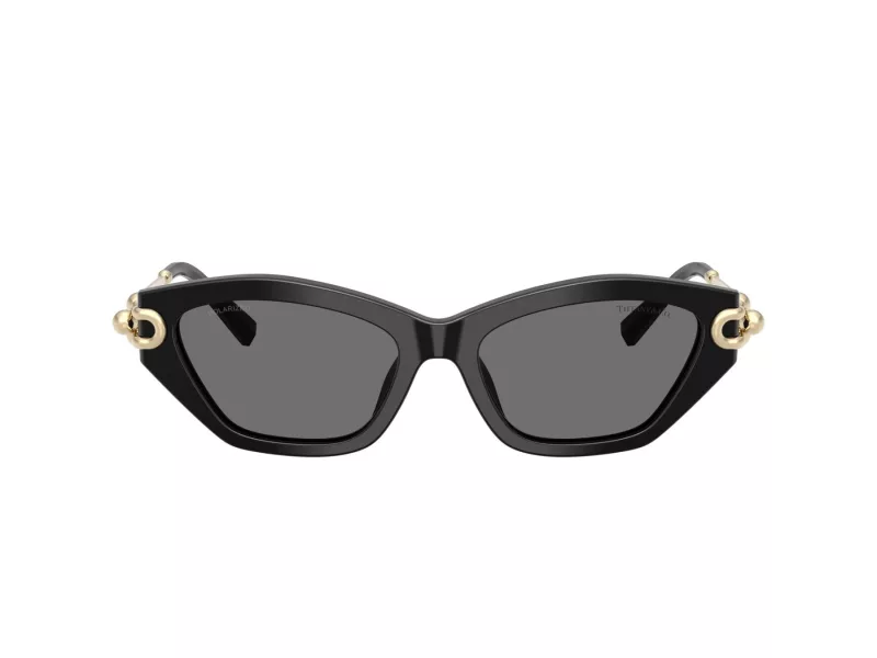 Tiffany Naočare za sunce TF 4231U 800181