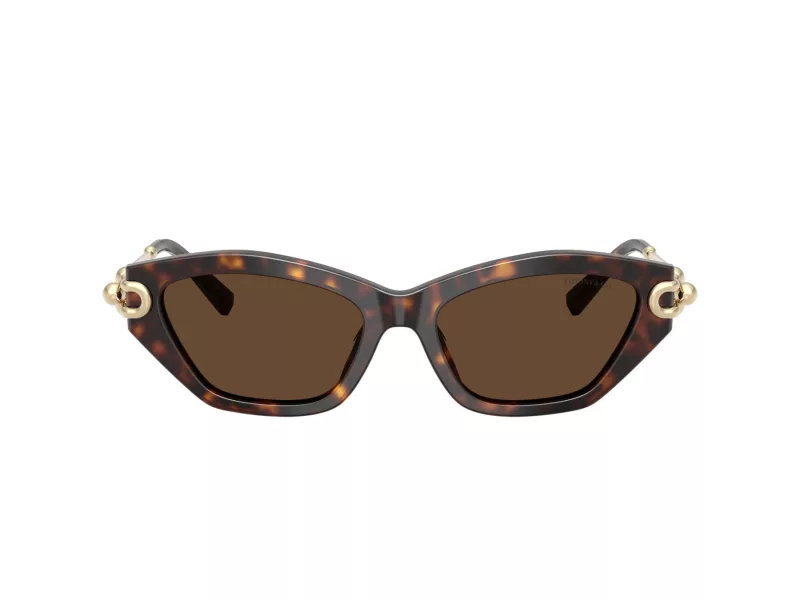 Tiffany Naočare za sunce TF 4231U 80153G