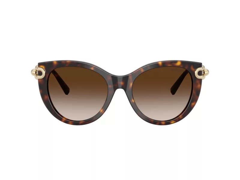 Tiffany Naočare za sunce TF 4232 80153B