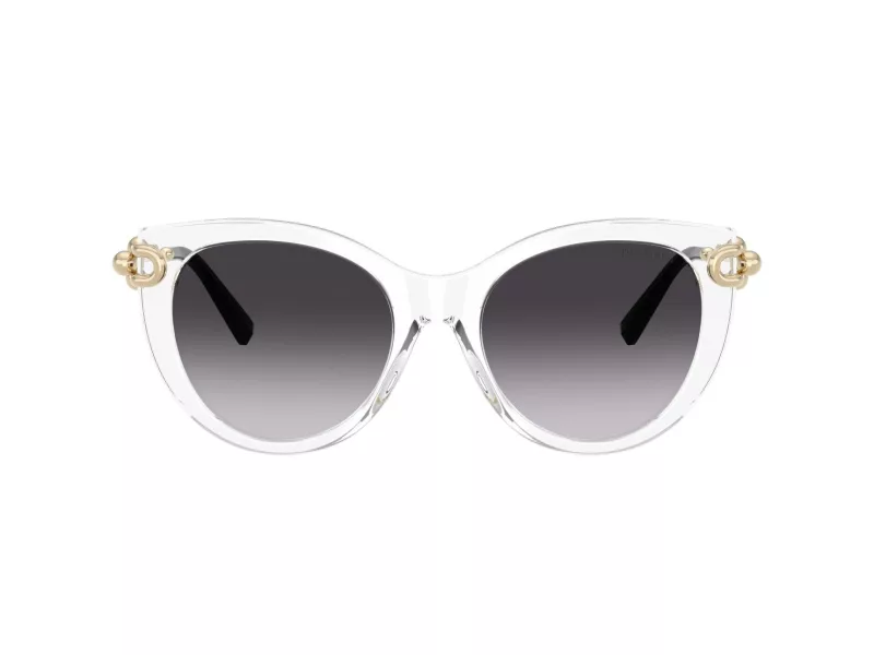 Tiffany Naočare za sunce TF 4232 80473C