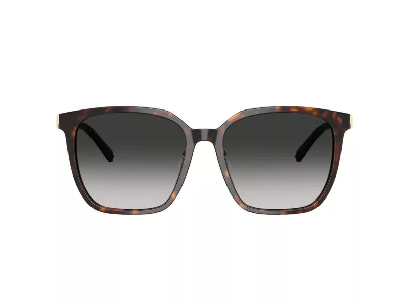 Tiffany Naočare za sunce TF 4244D 80153C