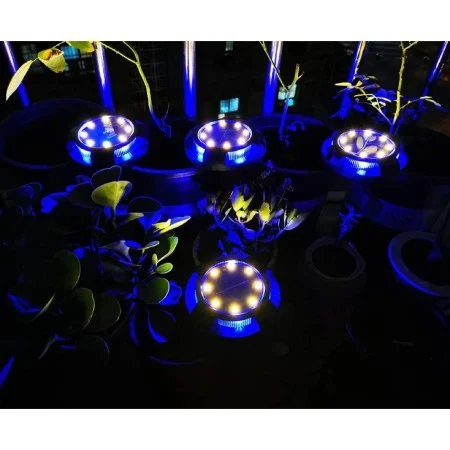 Yiwu Solarna baštenska lampa - 4 kom. ( 20485-5705 )