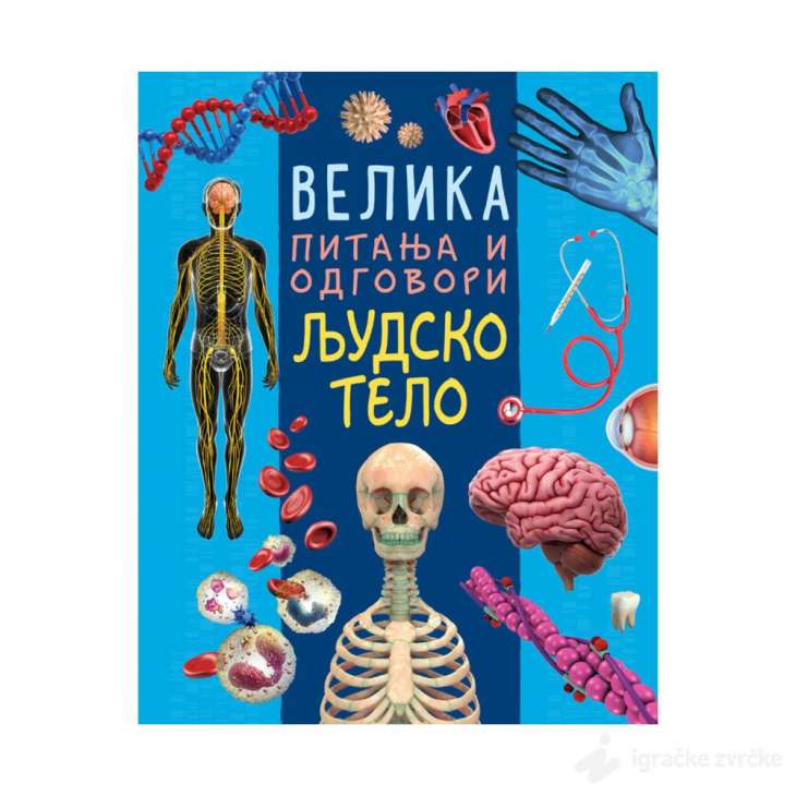 Velika pitanja i odgovori: LJUDSKO TELO