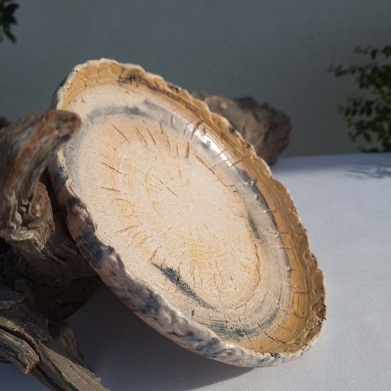 Natur plitka velika činija
