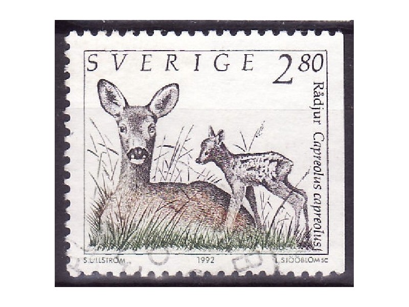 Švedska - košuta 2002.