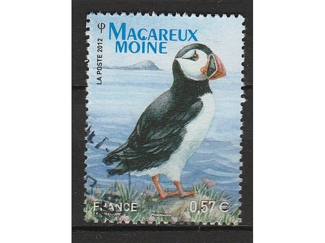 Francuska, France - 2012 - Atlantic Puffin