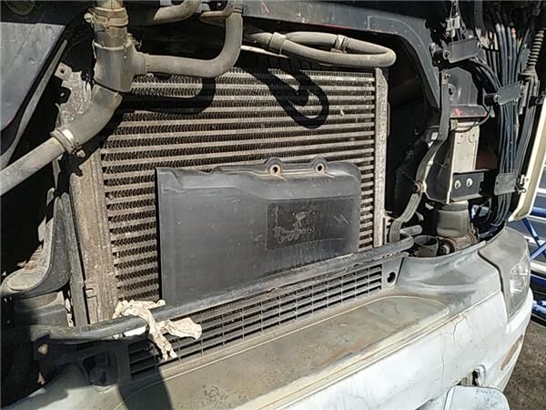 5010315636 radijator za hlađenje motora za Renault Premium kamiona