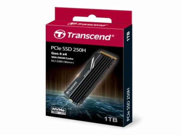 SSD TRANSCEND 1TBinterniM.2NVMecrna' ( 'TS1TMTE250H' )