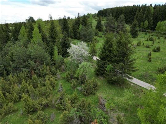 Prodaje se polj. zemljište 3625 m², Nova Varoš