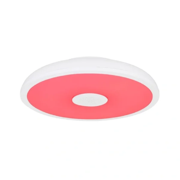 GLOBO Plafonjera RAFFY 41366W