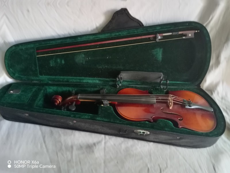 Violina
