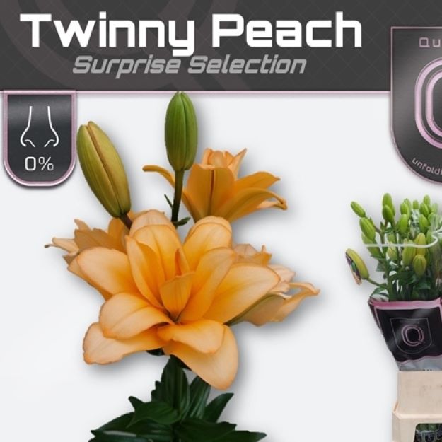 Li La Twinny peach