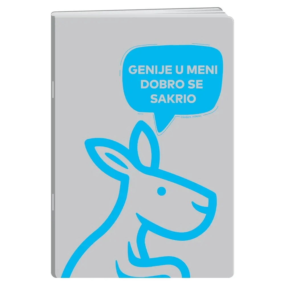 Play Sveska Premium, 40 lista, A4, Karo, Siva