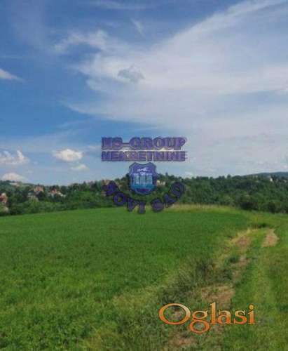 Odličan!