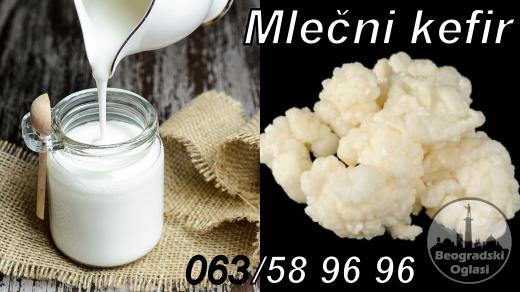 Mlečni kefir-Tibetanska gljiva