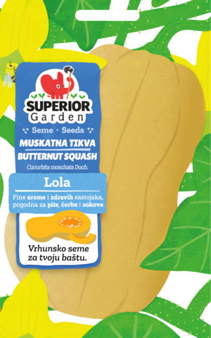 Tikva muskatna Lola Superior