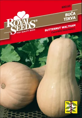 Tikva muskatna Butternut