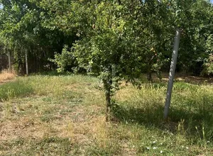 Prodaja Kuća - Sombor