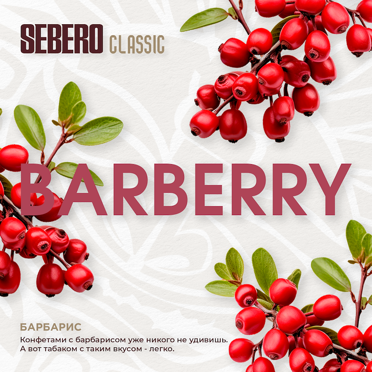 SEBERO BARBERRY