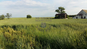 Prodajem Poljoprivredno Zemljište, Zabalj, Novi Sad Okolica