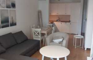 Izdajem Luksuzan dvosoban stan na Novom Dorcolu