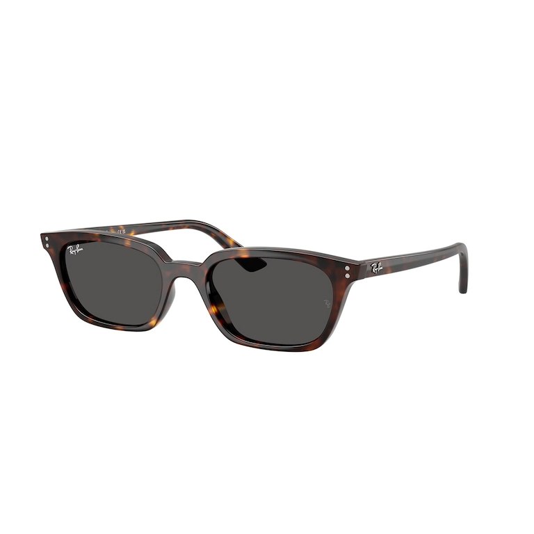 RAY-BAN ZAYA Sunčane naočare 0RB4456 135987 50 & 53