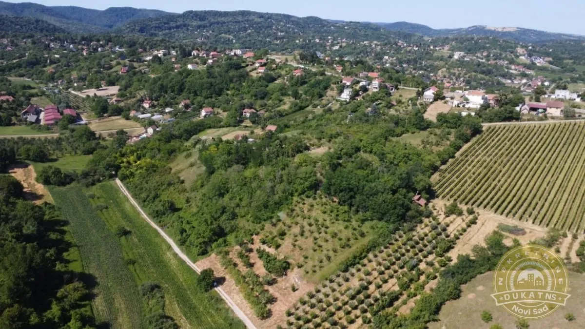 Prodaja, plac, 35m², Sremska Kamenica, Petrovaradin
