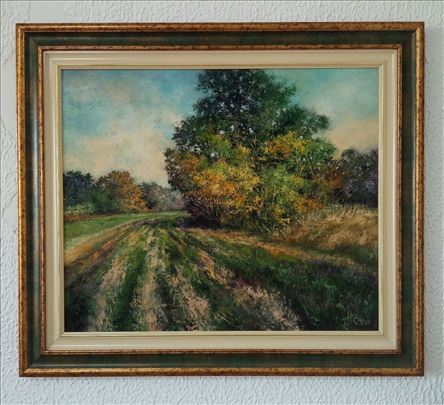 Ulje na platnu 50x60 cm