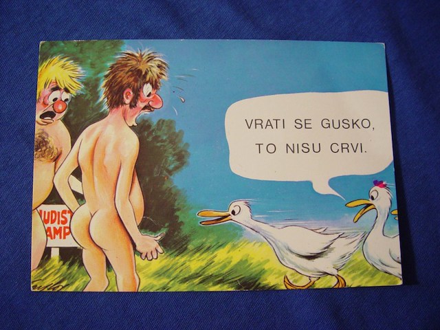 razglednica šaljiva, Guska i nudisti