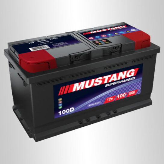 Akumulator 100Ah 12V D+ 800A – Mustang Supercharged