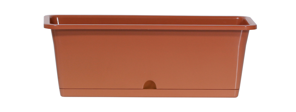 Prosperlast Saksija Camelia 50X18X17Cm Terakota PR DCM500-R624ID: EK000726283