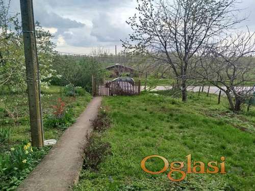 RAKOVAC 81/1030 GLAVNI PUT