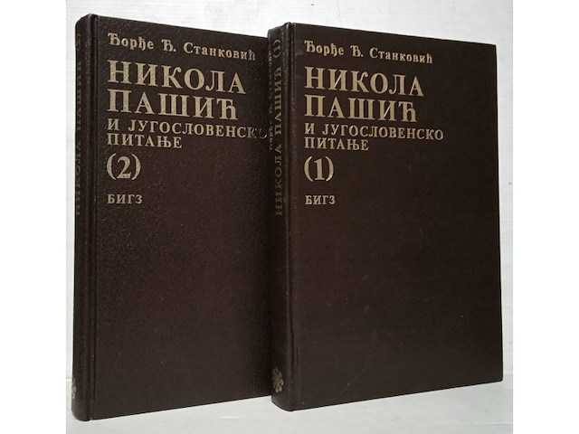 Đ. Stanković - Nikola Pašić i jugoslovensko pitanje