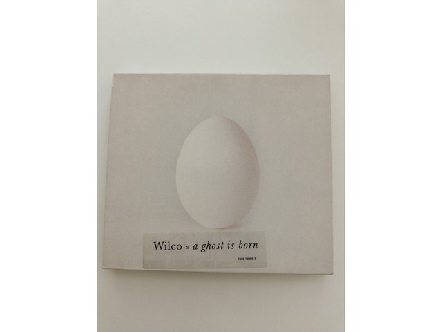 Wilco - A Ghost Is Born CD