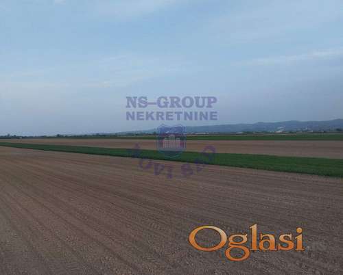 Plac 14895m2 Futog