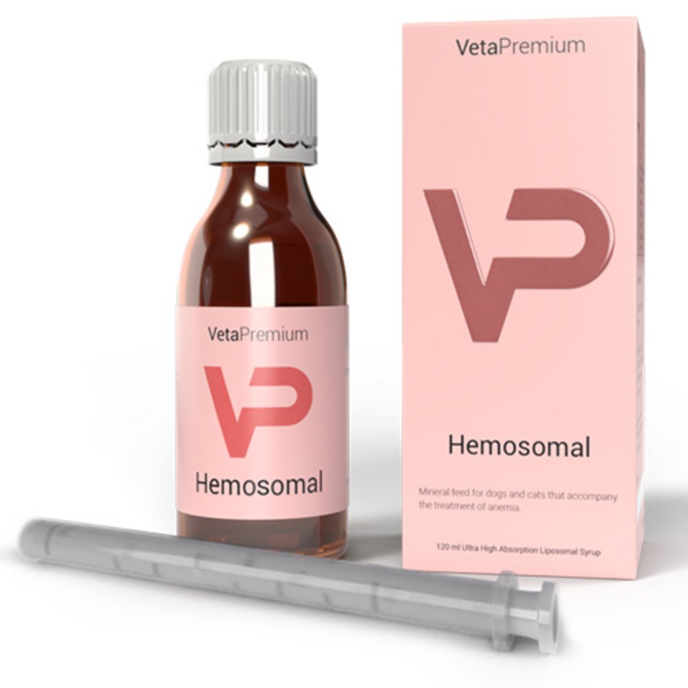 HEMOSOMAL 120ML