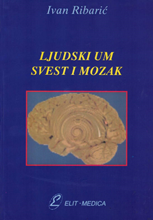 Ljudski um, svest i mozak