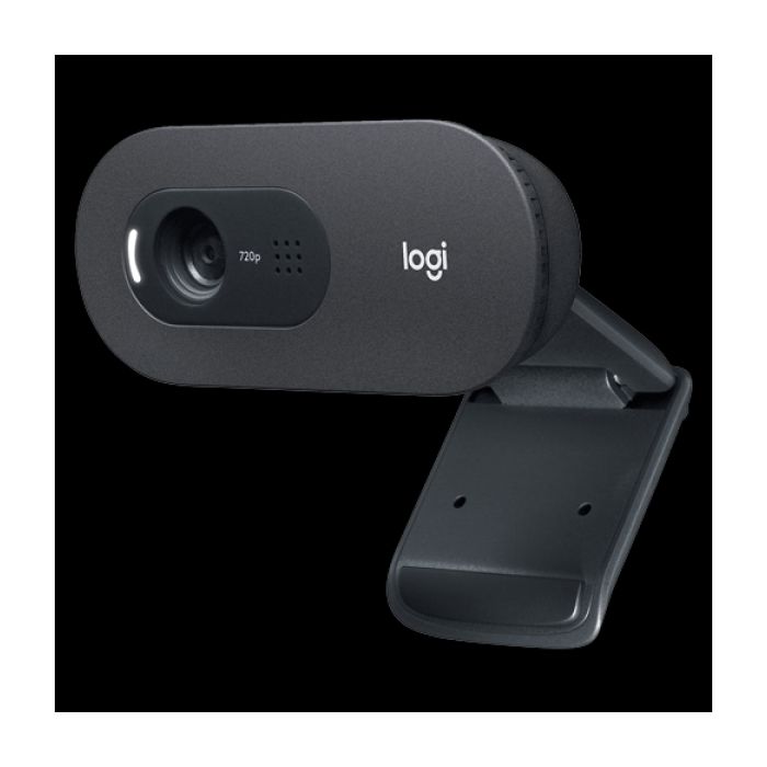 Web camera Logitech C505e 960-001372