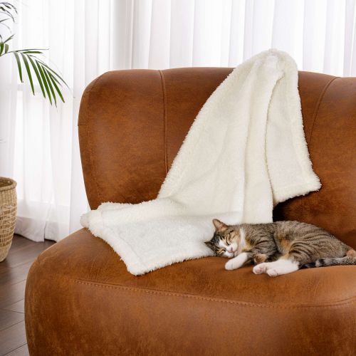 Blanket 60 - Cream Cream Cat Blanket