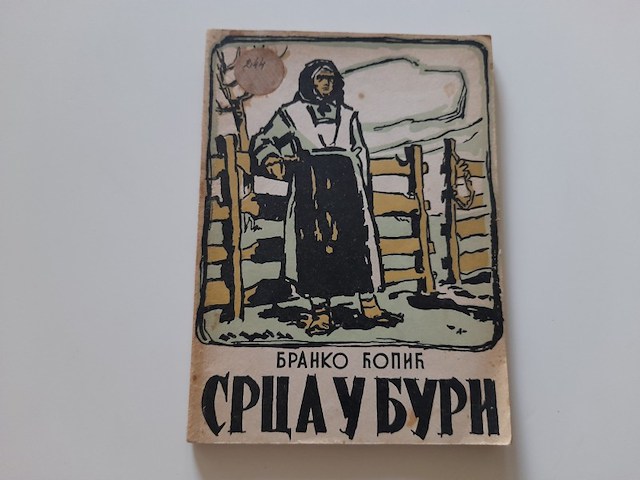 Srca u buri - Branko Ćopić